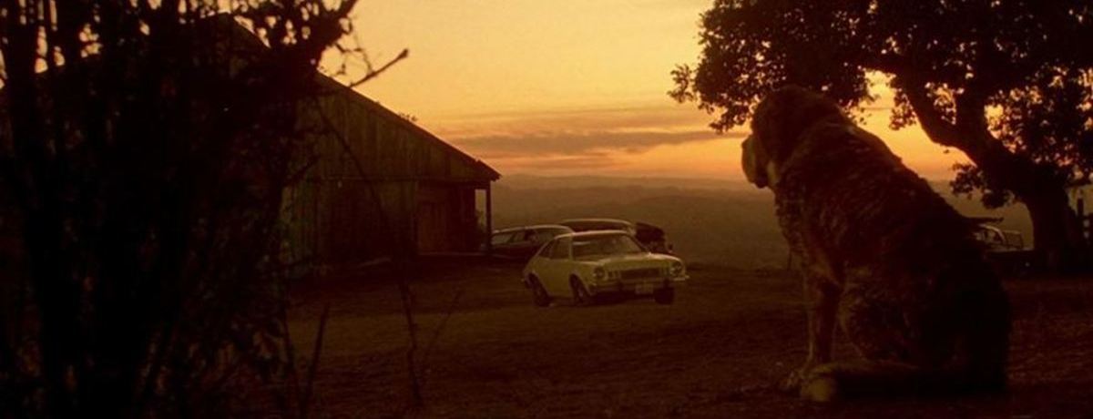 Cujo - Blu-ray Review - Set The Tape